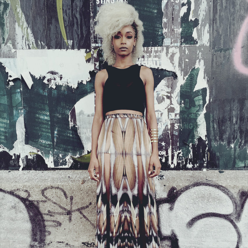 Afro Punk Festival 2015 | 1Africa