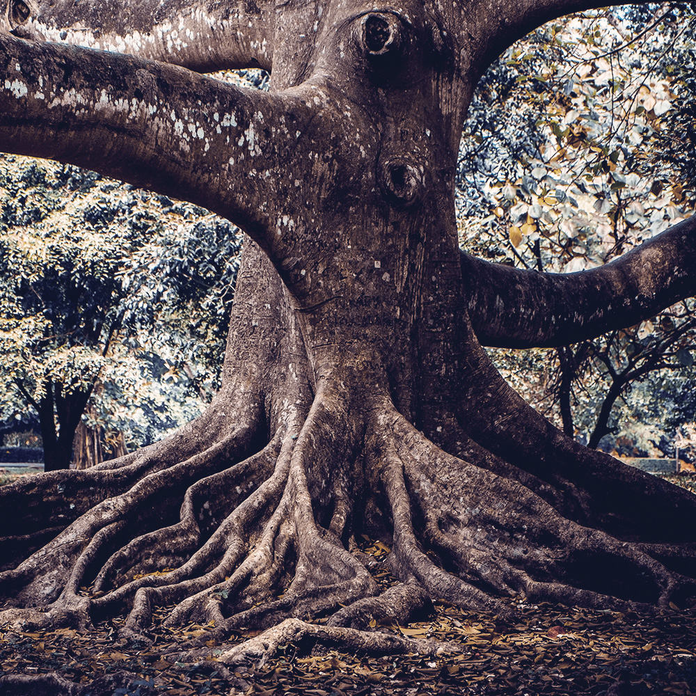 When the storm comes... | 1Africa